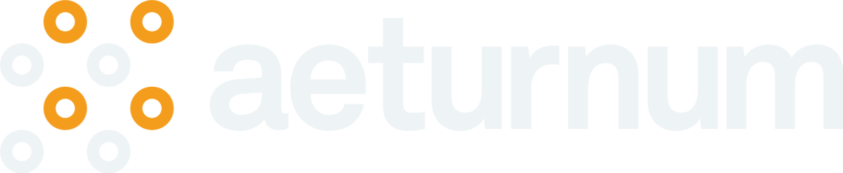 Learn and Grow Your Career at Aeturnum | IT Software Company
